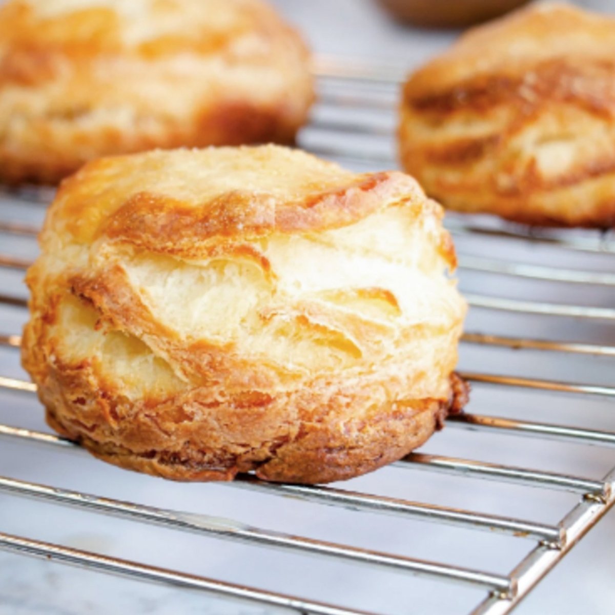 Lazy Daisy's Buttermilk Biscuits – TOMME Cheese Shop